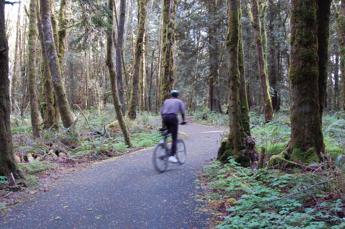The Evergreen State College, Campus Master Plan - Work - ZGF