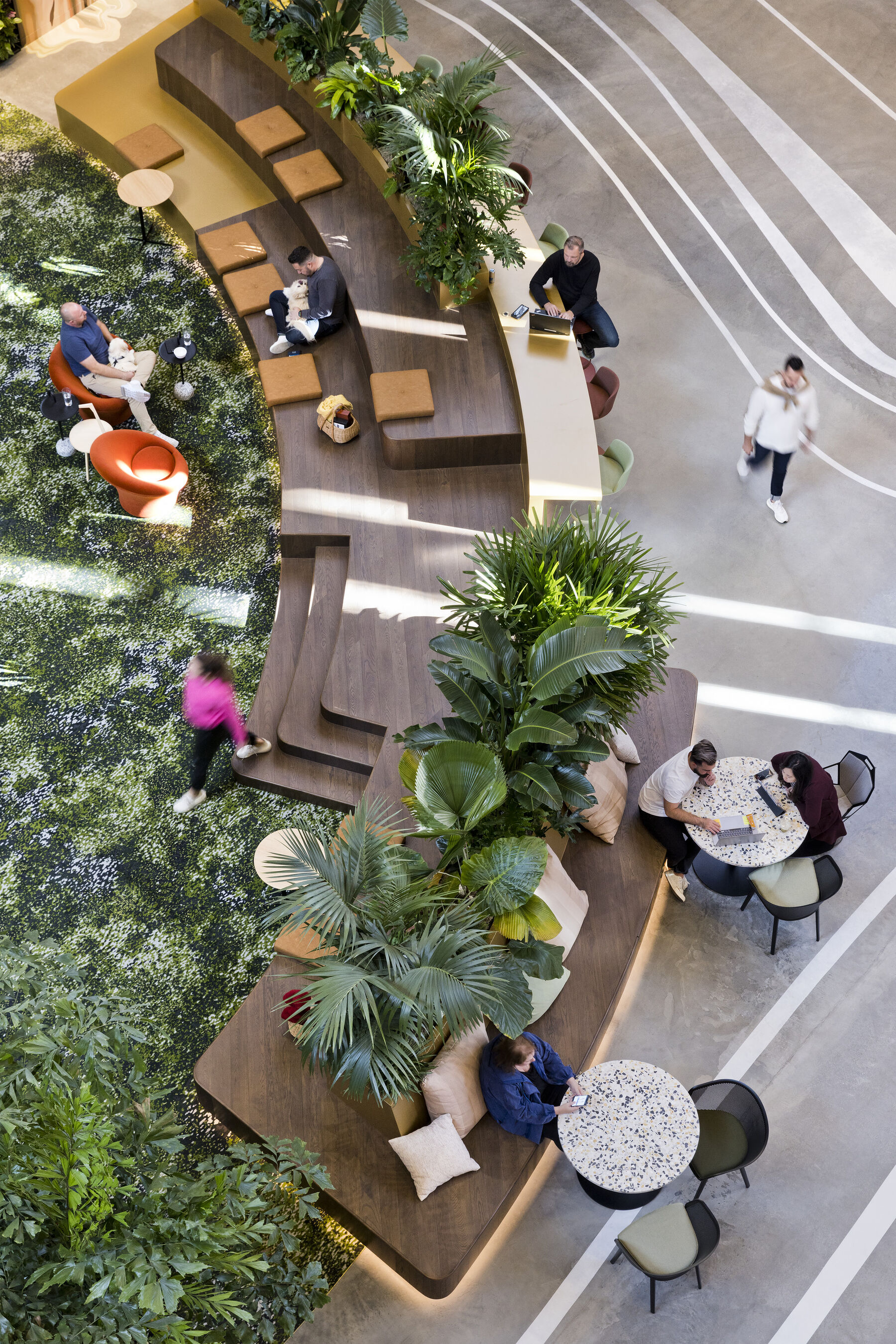 New Transformations Within Historic Aviation Facility
