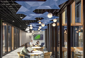 Grand Challenges Research Building, University of Arizona