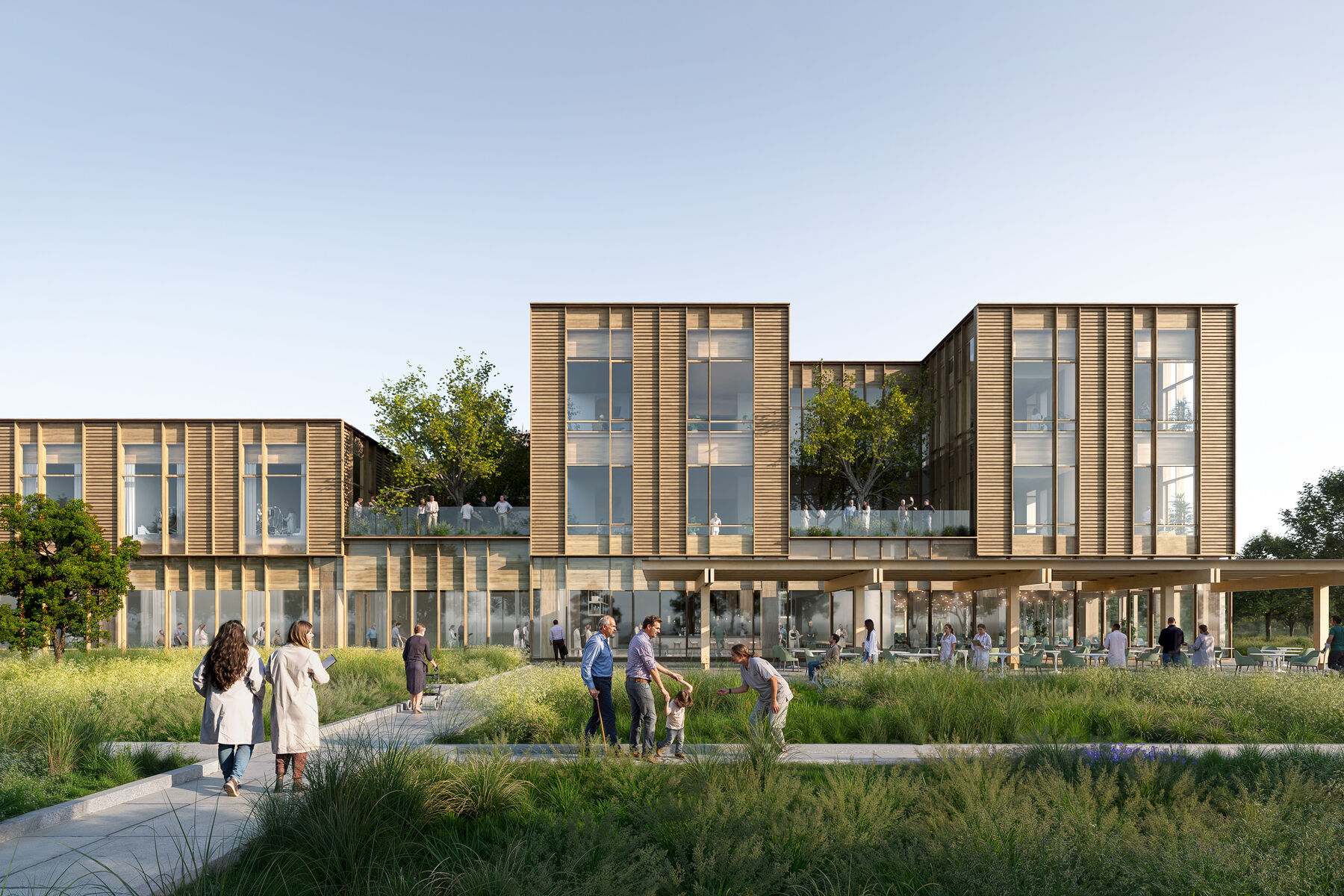 Mass Timber Hospital: The Future of Healthcare