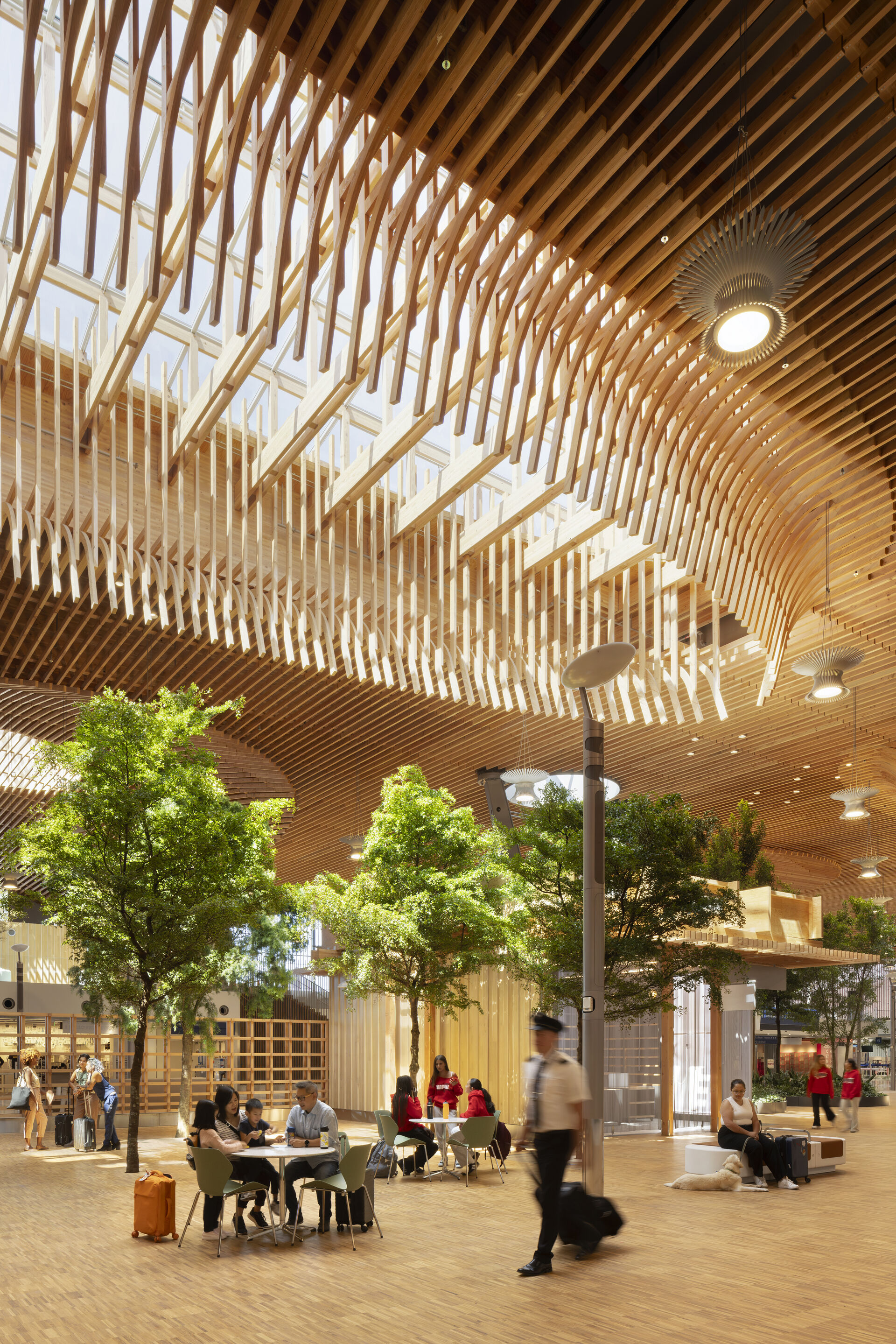 The New PDX: ZGF Modernizes and Evolves America's Favorite Airport